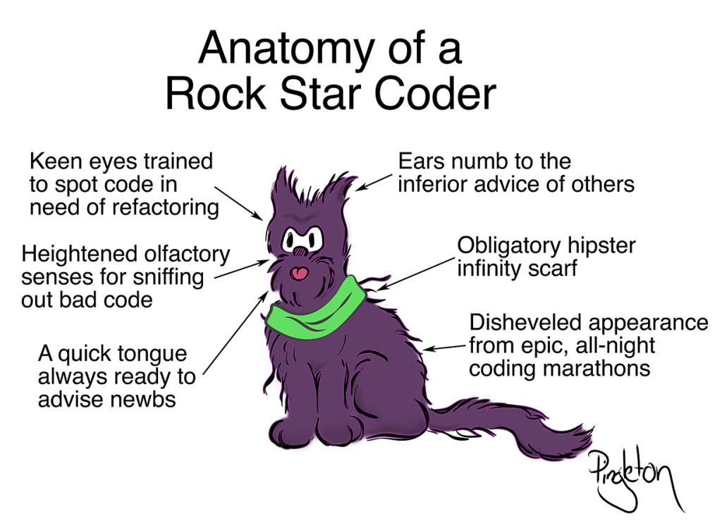 Anatomy of a Rock Star Coder - NSBliss